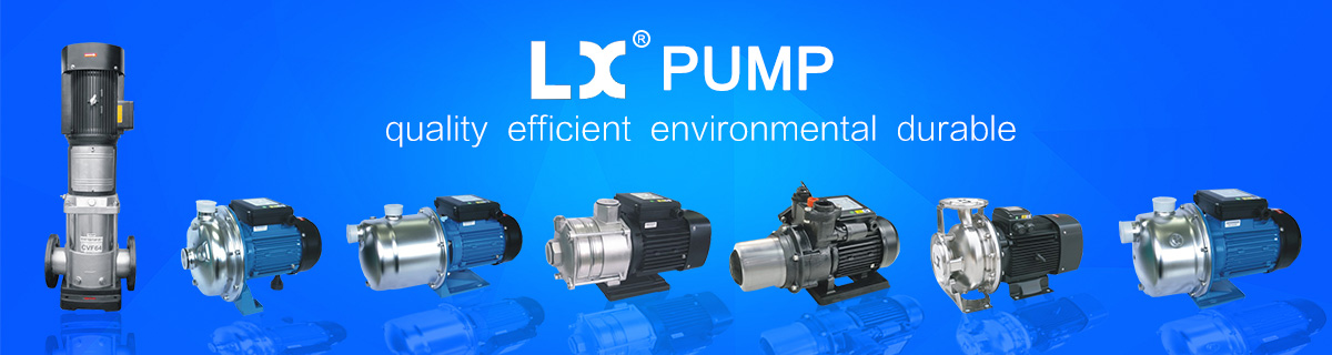 Guangdong Lingxiao Pump Industry co.,Ltd